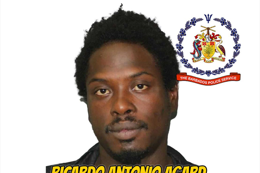 Man remanded on numerous charges - nationnews.com