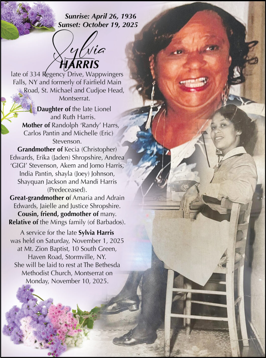 Sylvia Harris - nationnews.com