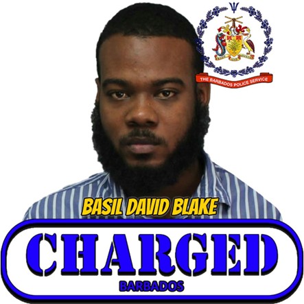 Basil Blake granted bail on theft charges - nationnews.com