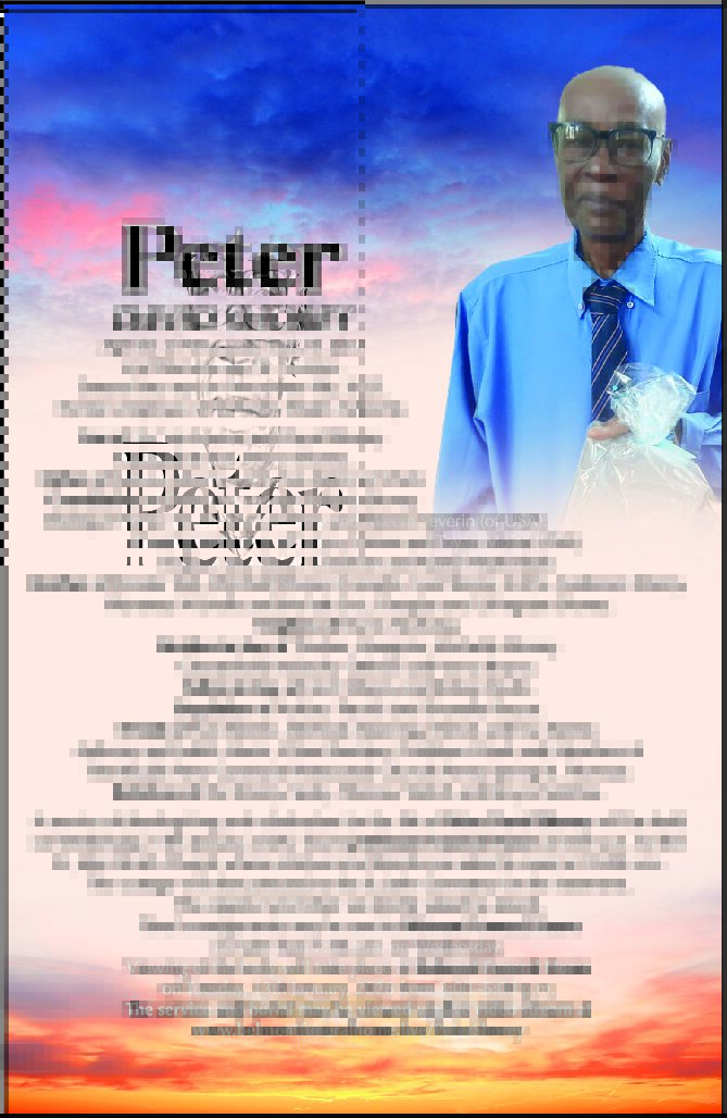 Peter Shorey - nationnews.com