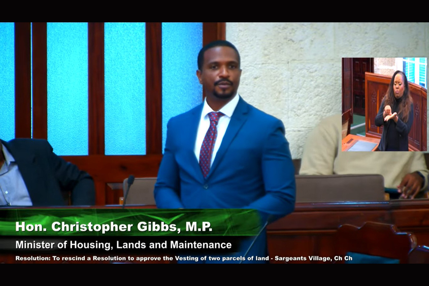 House moves to correct land vesting error - nationnews.com